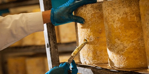 Stilton Cheese - Great North Road