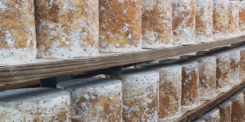 Stilton Cheese