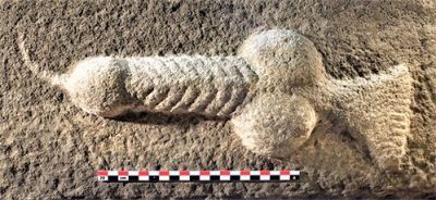 Roman Catterick - Cataractonium - Great North Road