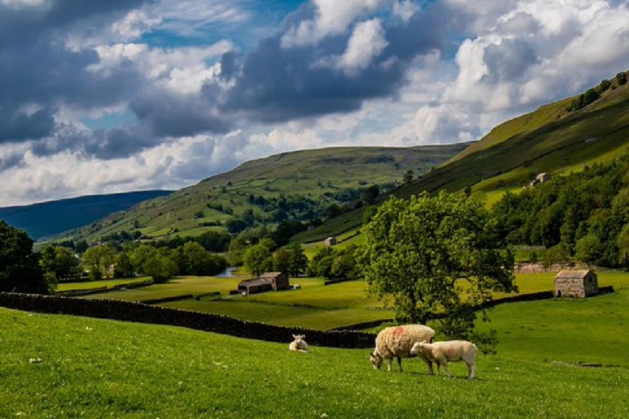 River Swale - Great North Road